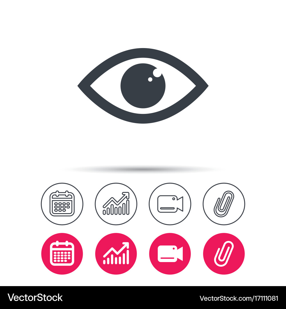 Eye icon eyeball vision sign Royalty Free Vector Image
