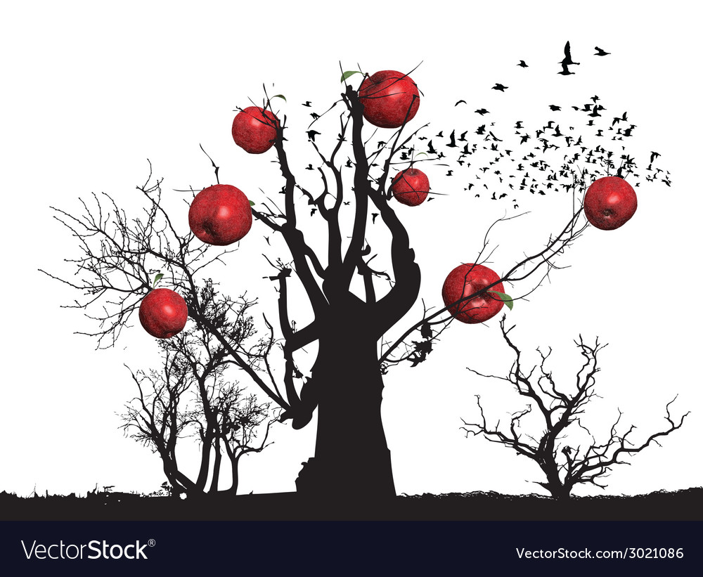 Apple tree Royalty Free Vector Image - VectorStock