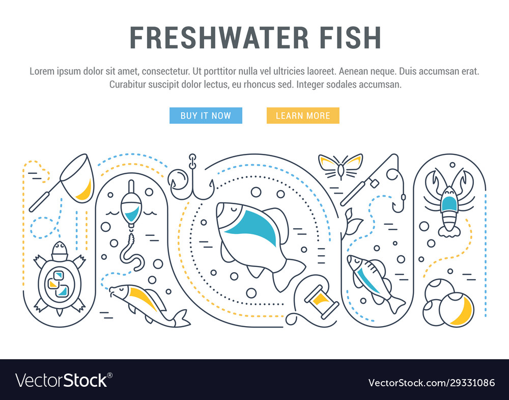 Website banner and landing page freshwater fish Vector Image