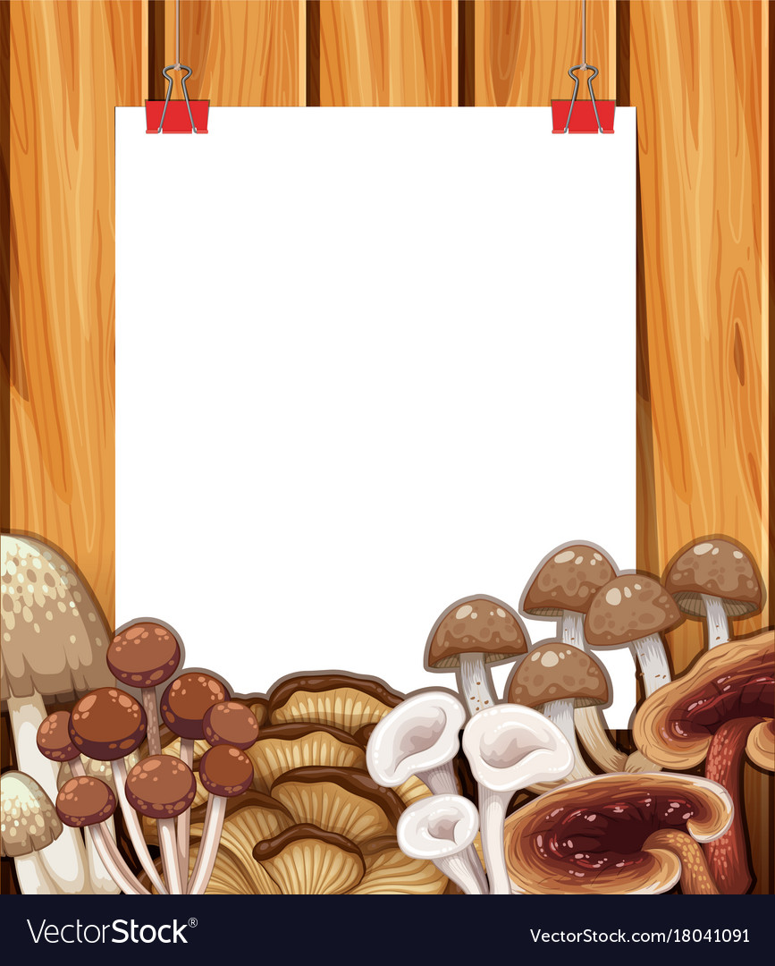 Paper template with mushrooms in background Vector Image