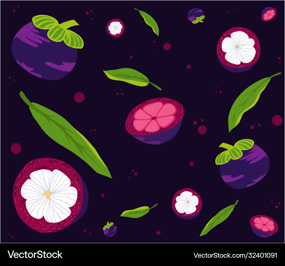 Sliced purple mangosteen fuit pattern Royalty Free Vector
