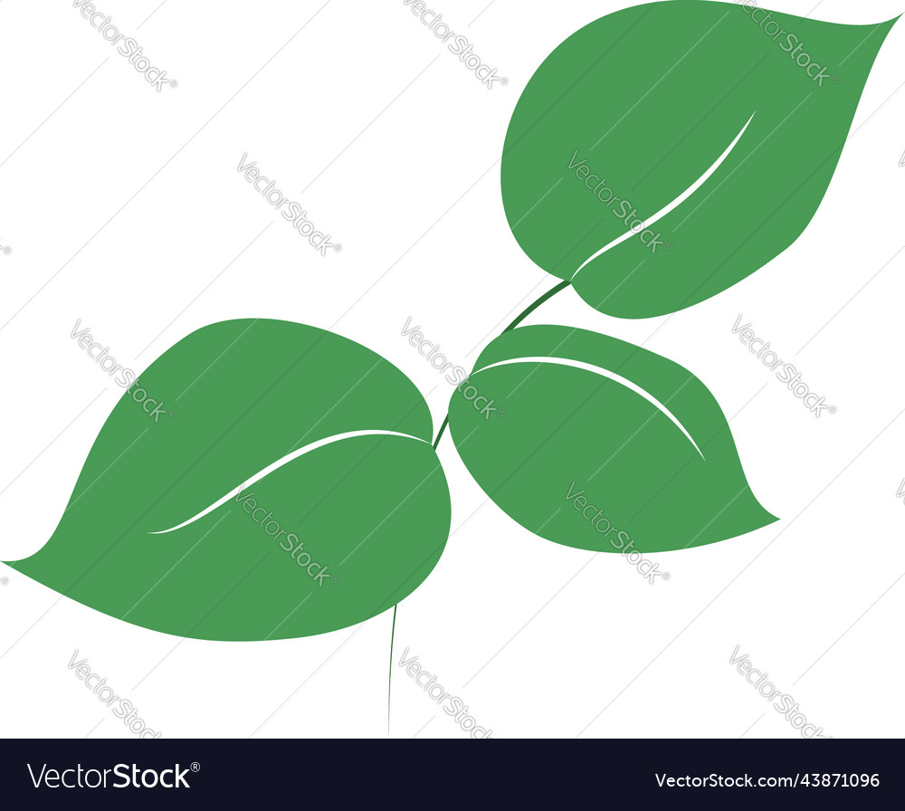 Green leaf frame material Royalty Free Vector Image