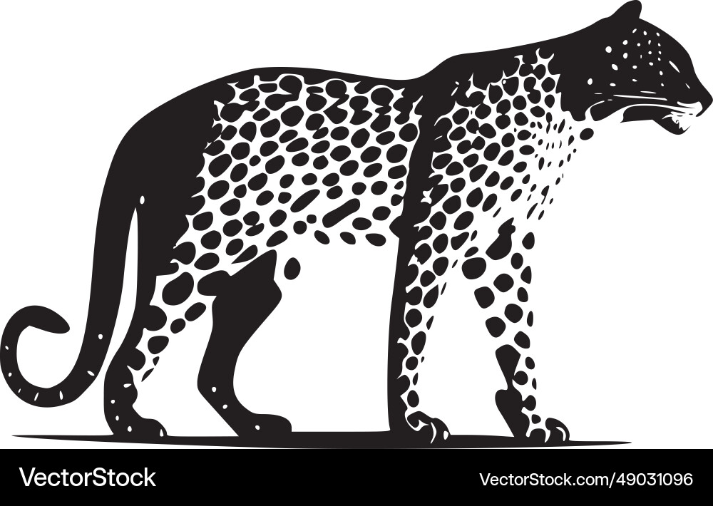 Leopard - high quality logo ideal for t-shirt Vector Image