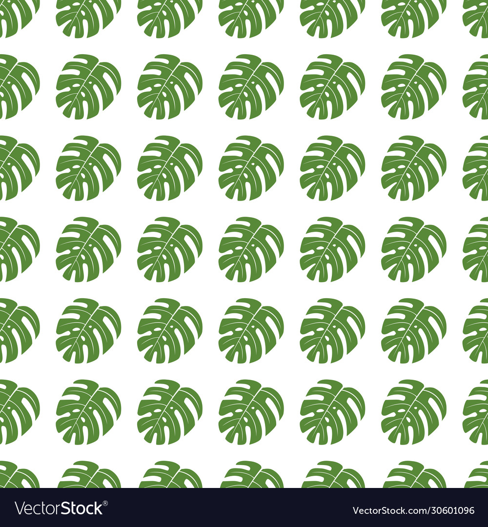 Monstera seamless pattern Royalty Free Vector Image