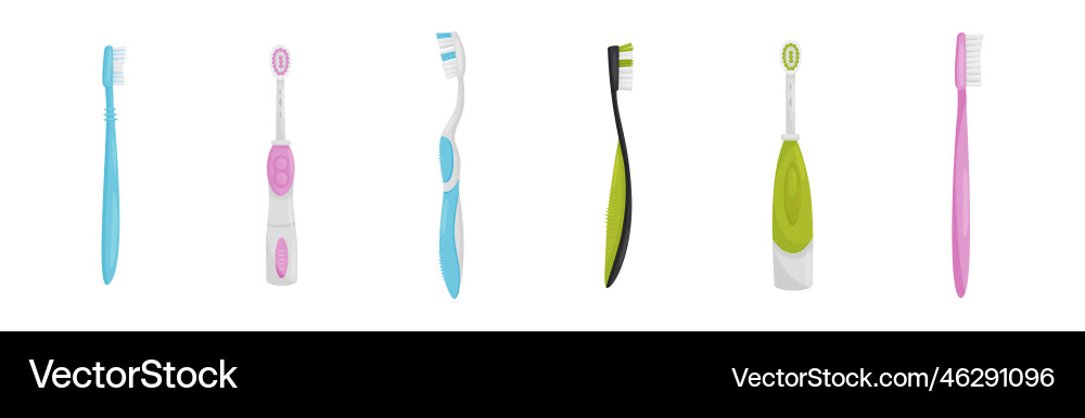 Toothbrush with bristles and handle as oral Vector Image
