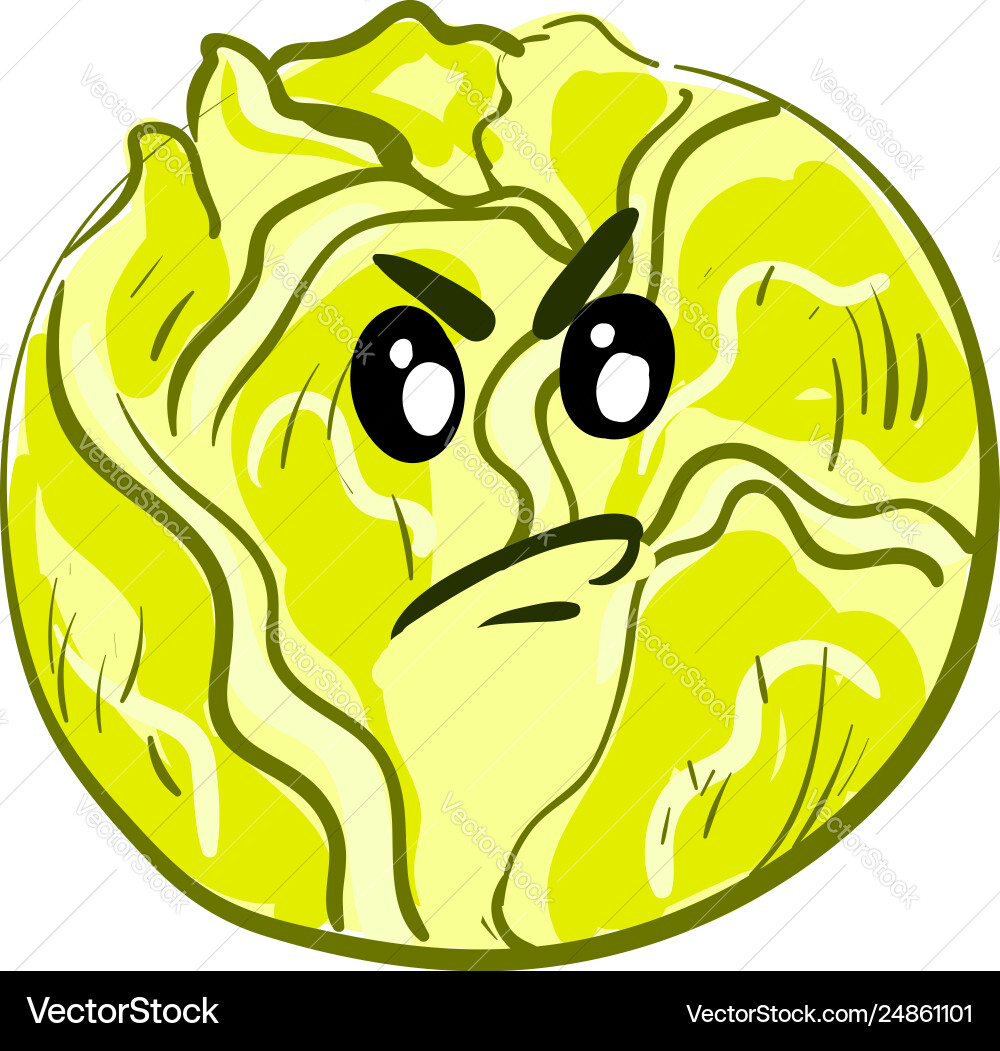 Angry cartoon green cabbage on white background Vector Image
