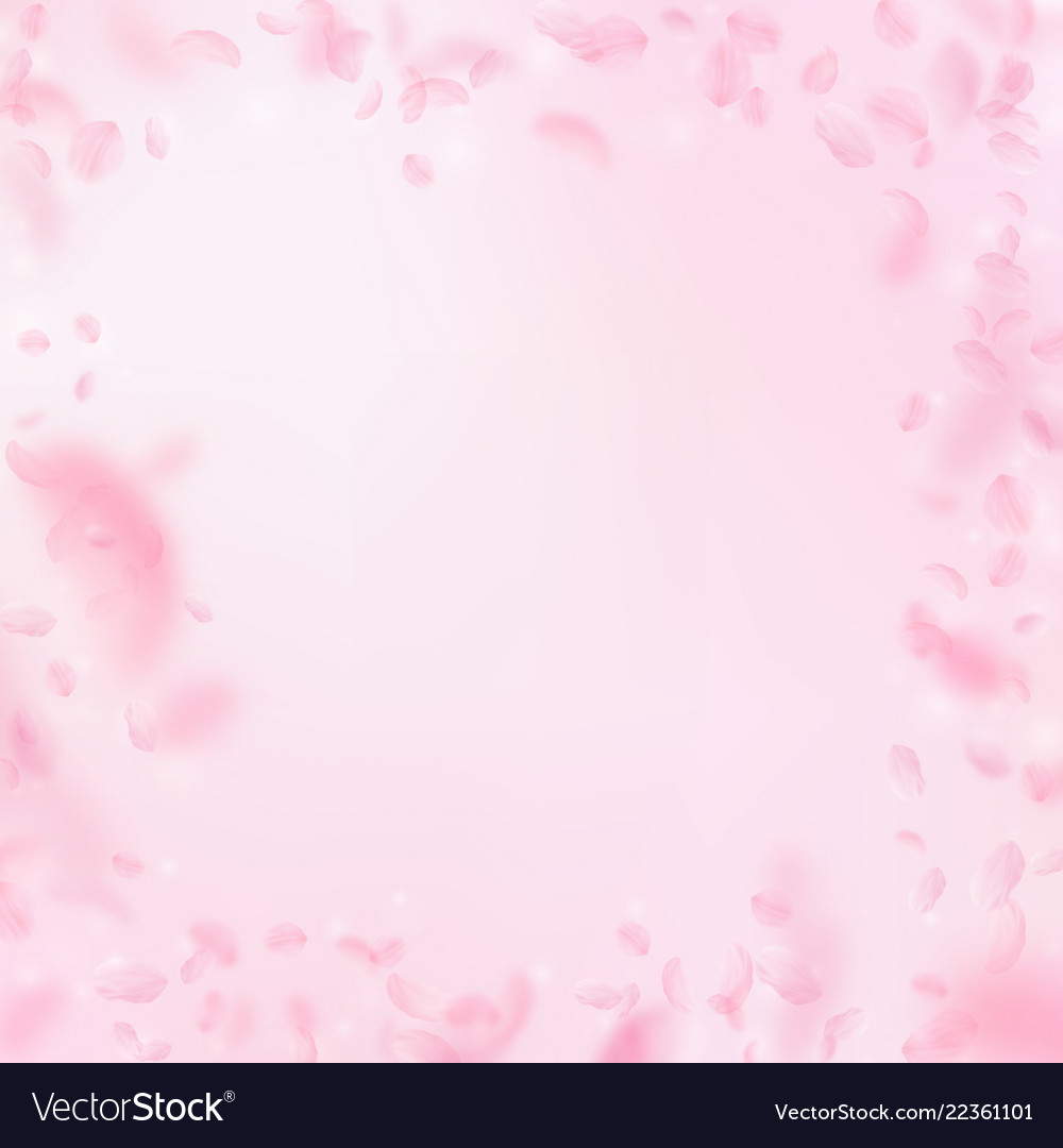 Sakura petals falling down romantic pink flowers Vector Image