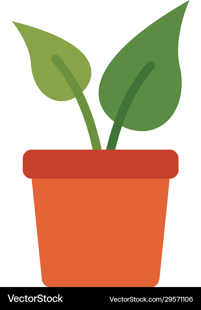House plant cultivating flat style Royalty Free Vector Image