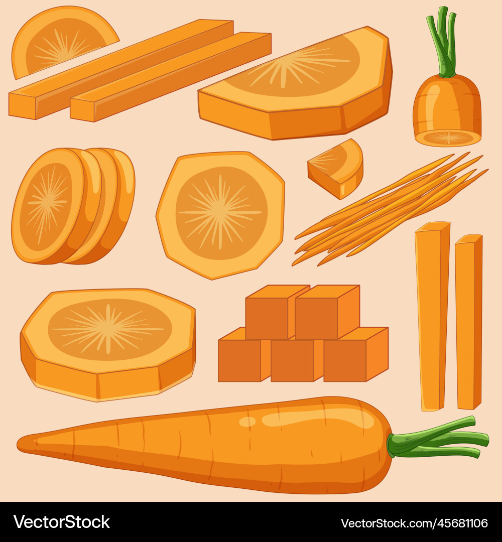 Set of carrot with background Royalty Free Vector Image