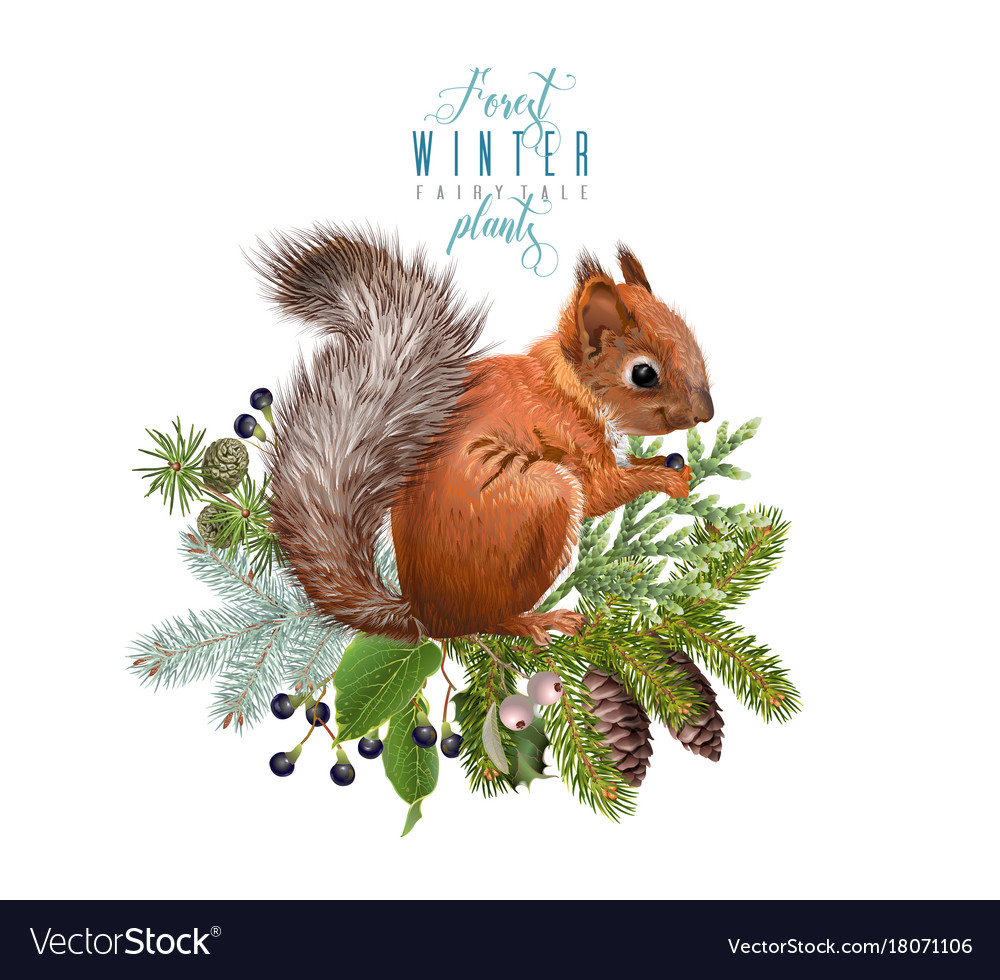 Winter squirrel composition Royalty Free Vector Image