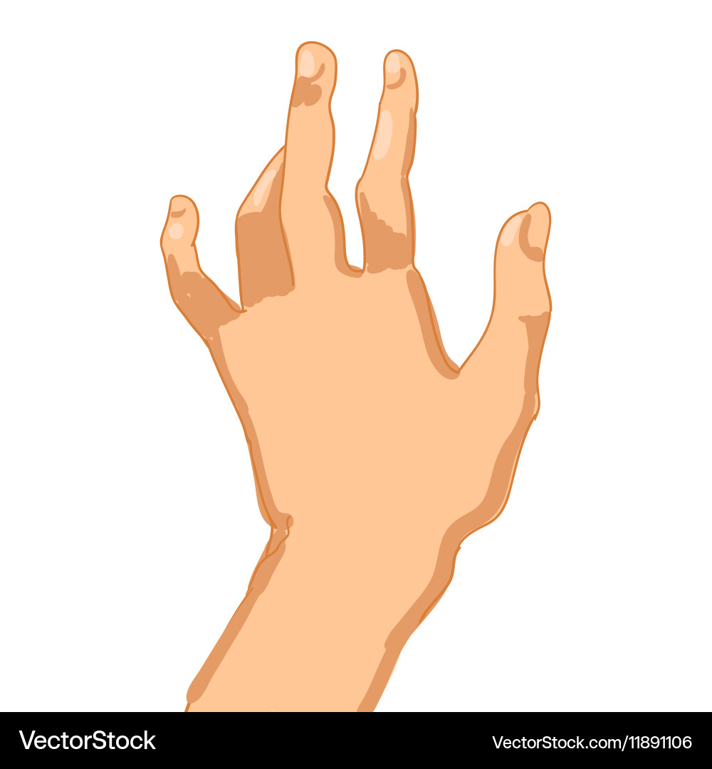 Woman hand on white background Royalty Free Vector Image