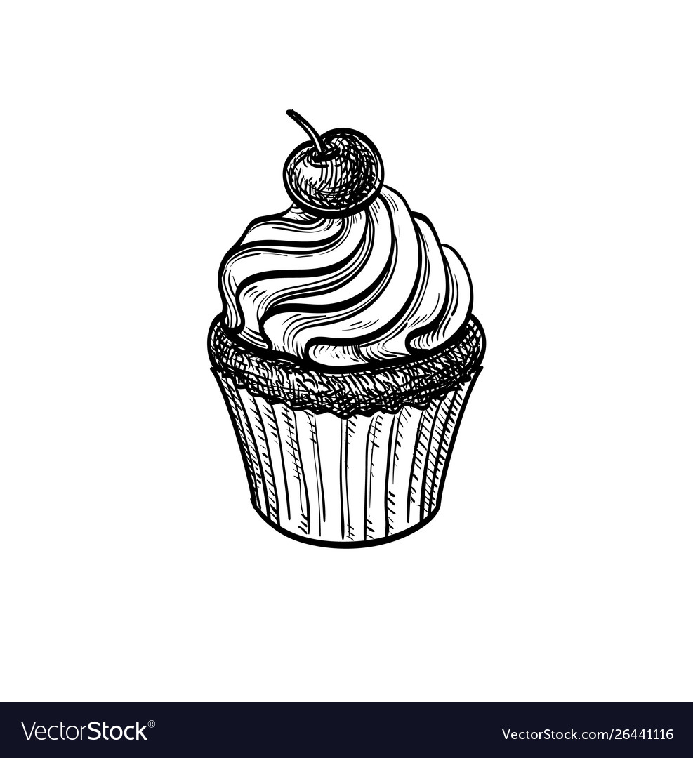 Cupcake With Cherry Royalty Free Vector Image Vectorstock