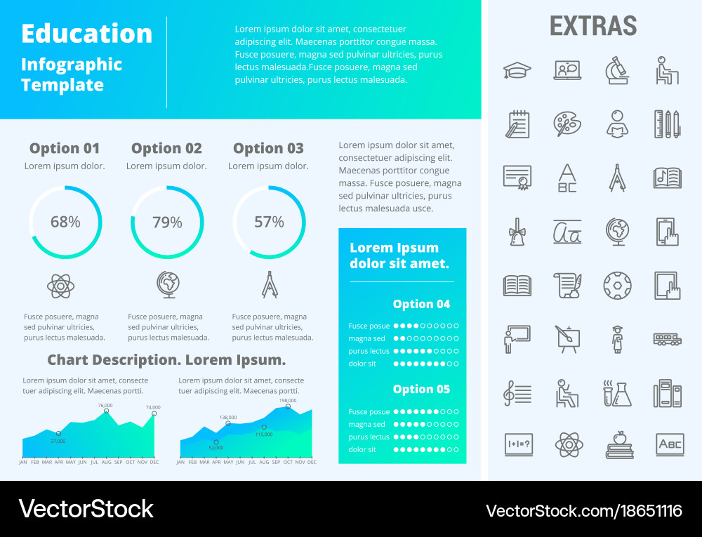 Education infographic template elements and icons Vector Image
