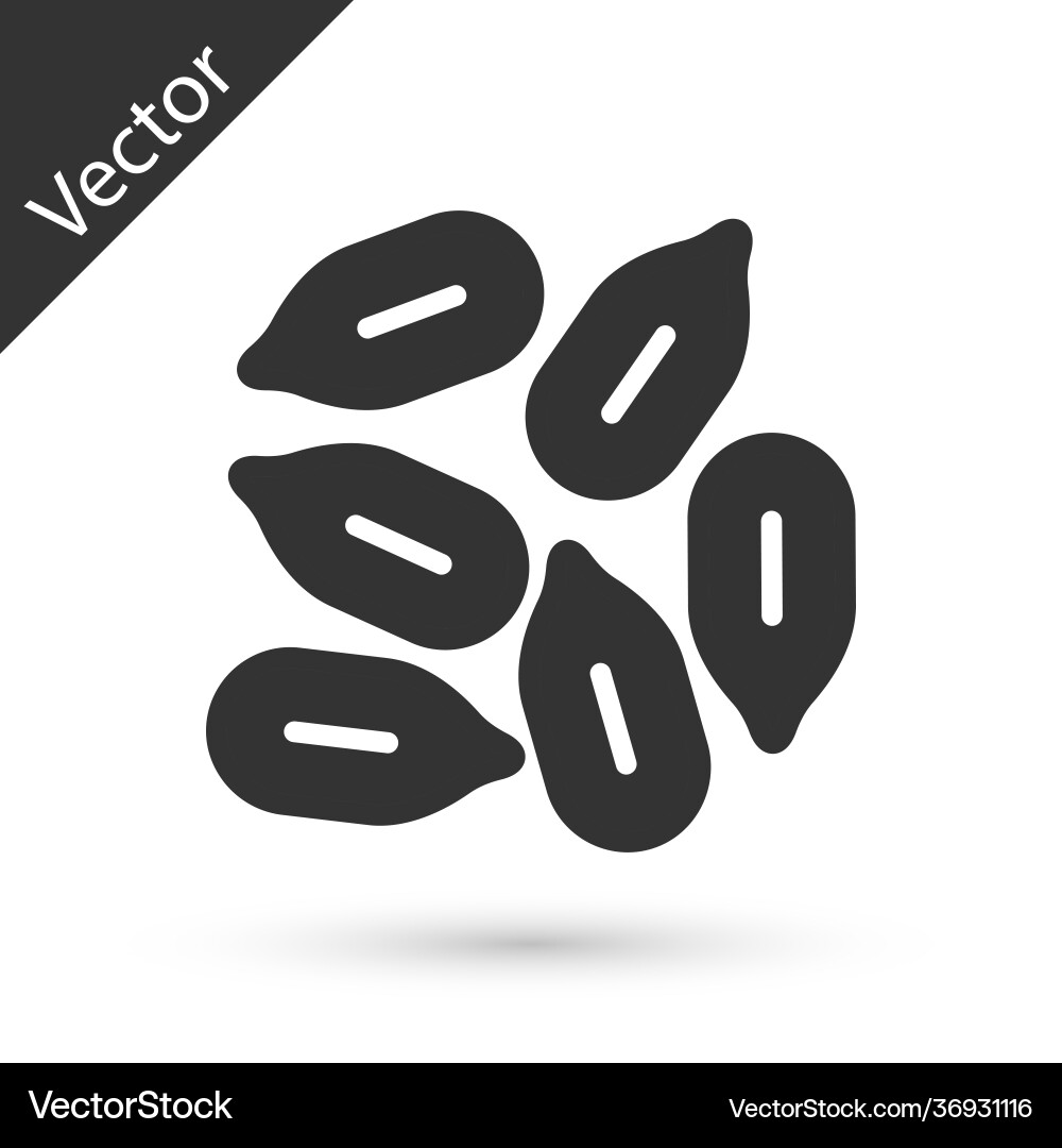 Grey seeds a specific plant icon isolated Vector Image