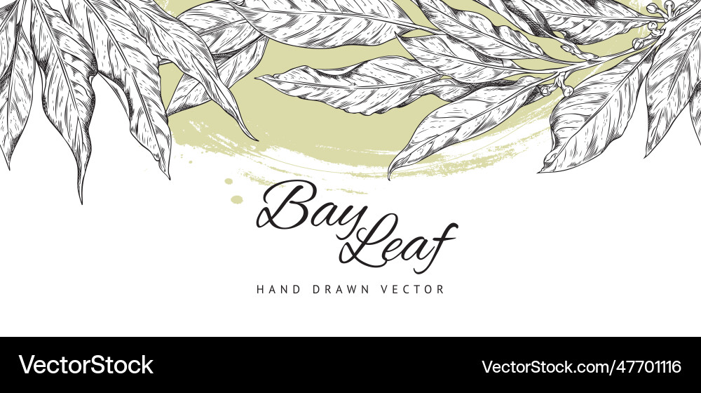 Hand drawn monochrome seamless border with bay Vector Image
