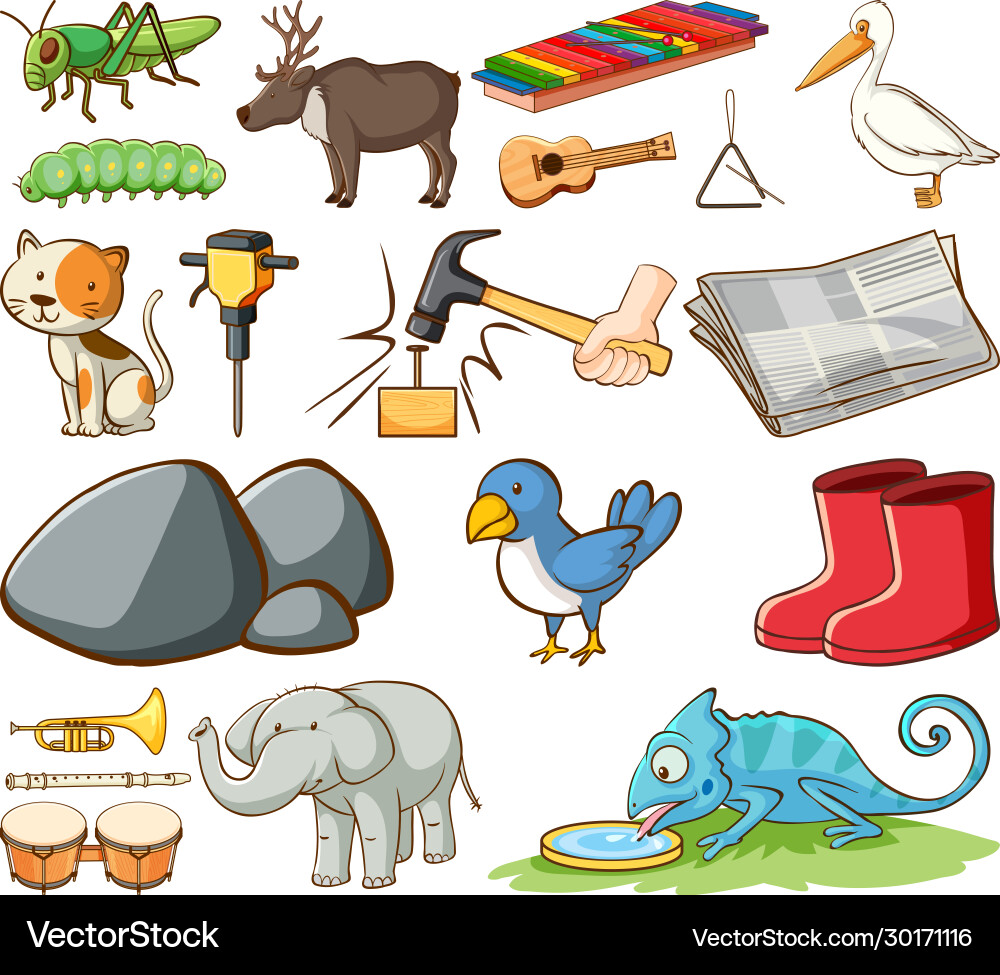 Large set different animals and other items Vector Image