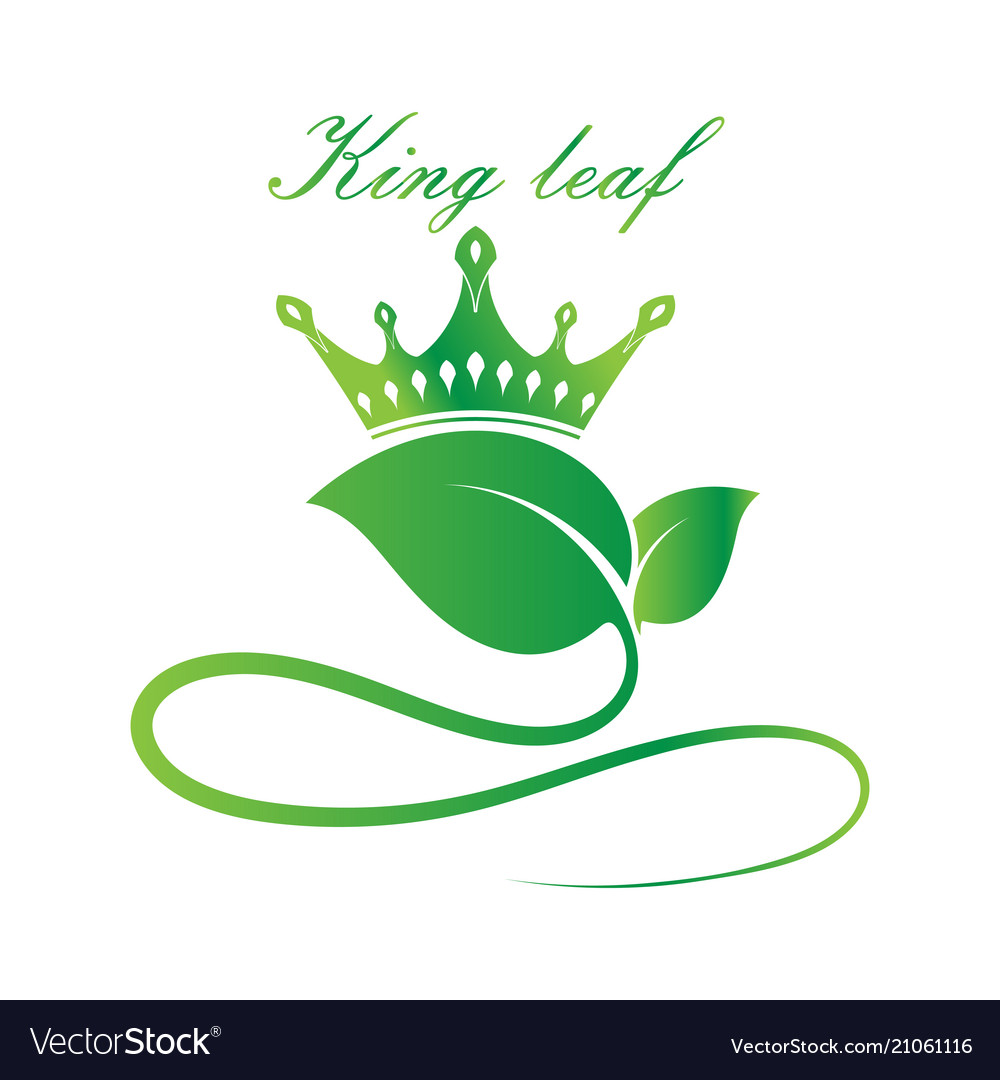 Leaf logo Royalty Free Vector Image - VectorStock