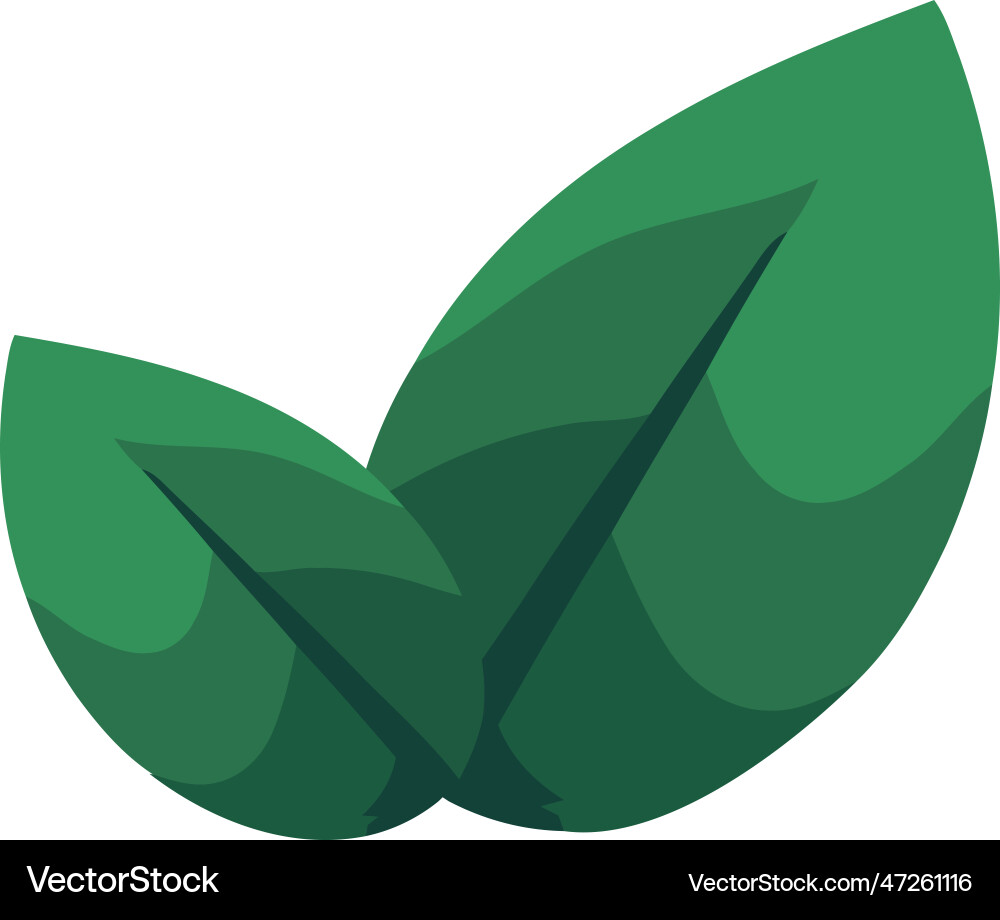 Pair of leaves Royalty Free Vector Image - VectorStock