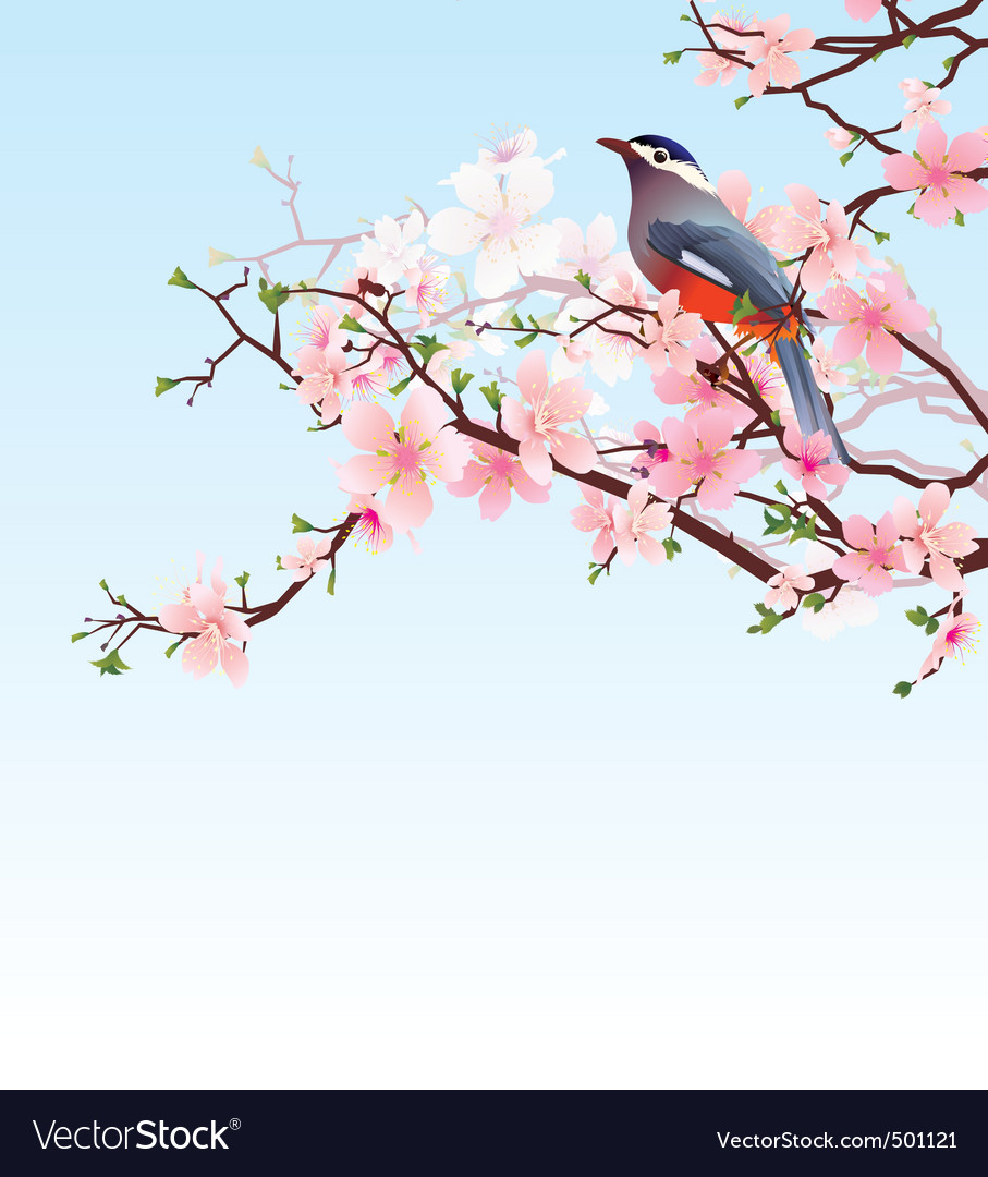 Cherry tree Royalty Free Vector Image - VectorStock
