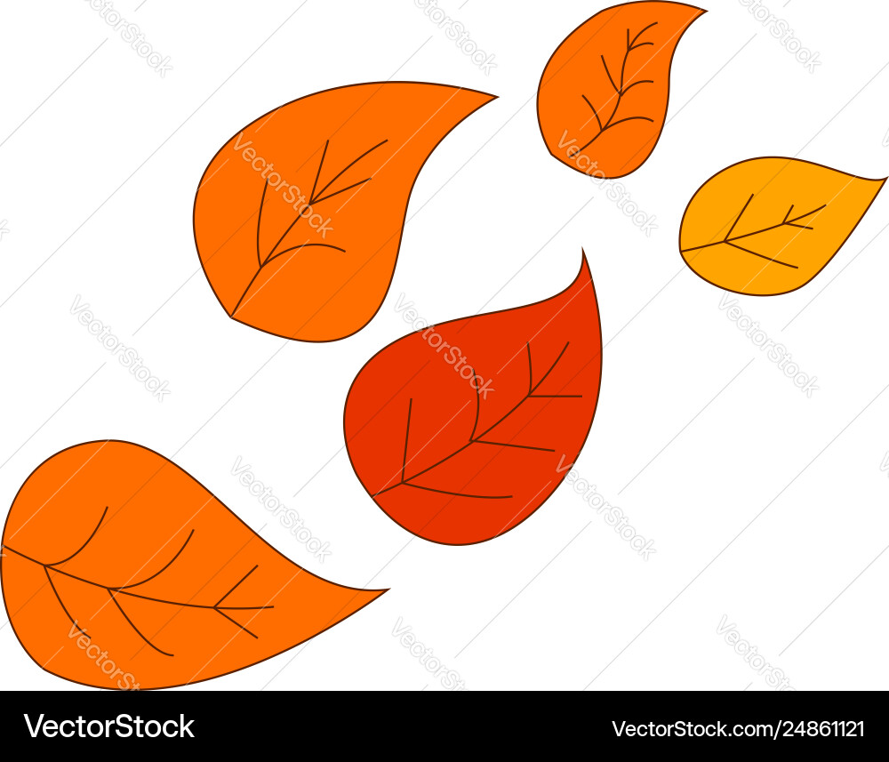 Colorful autumn leaves on white background Vector Image