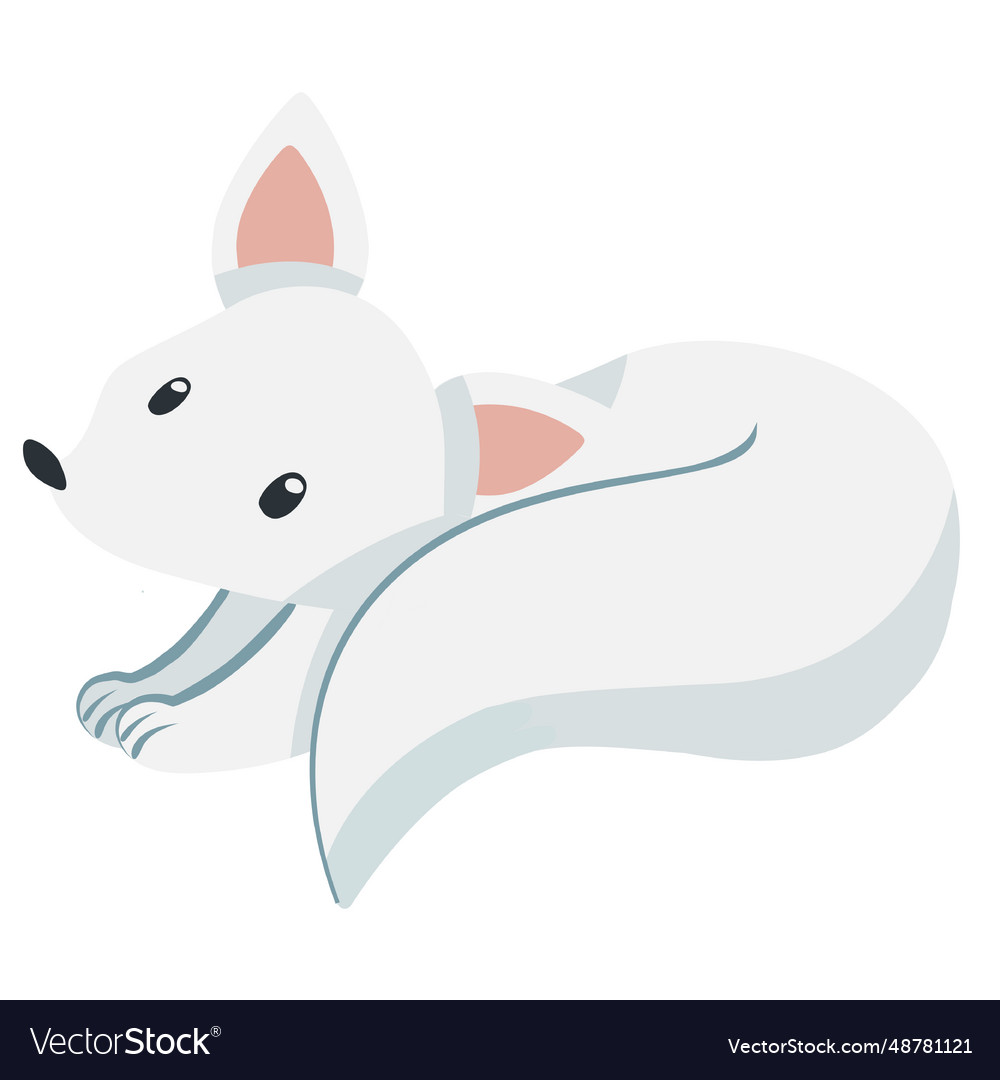 Cute white fox Royalty Free Vector Image - VectorStock