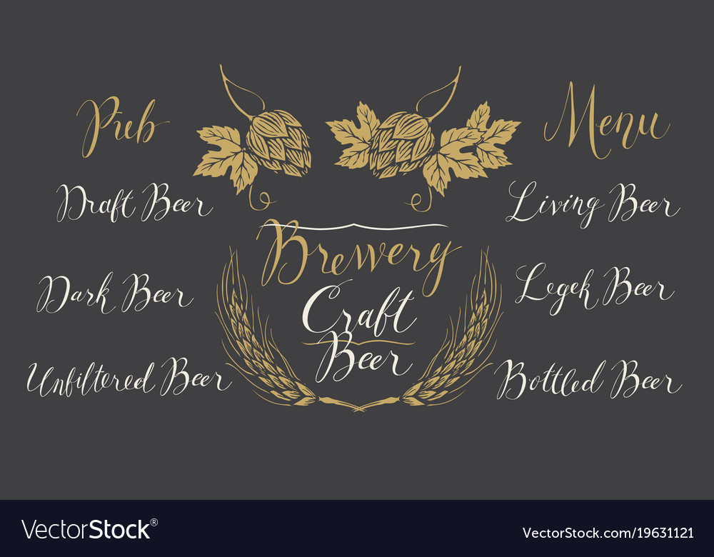 Set design elements and inscriptions for beer Vector Image