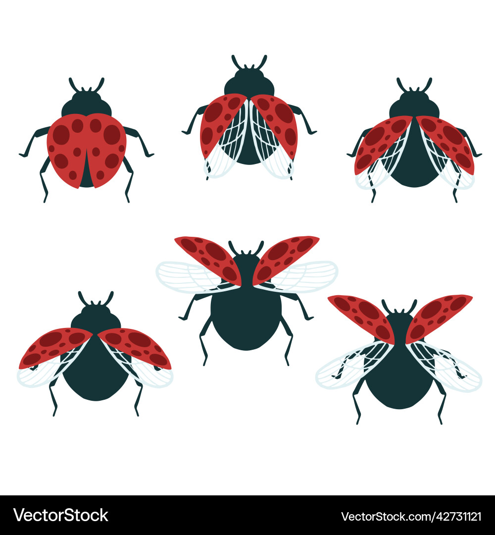 Set of simple flat beetle with different wings Vector Image