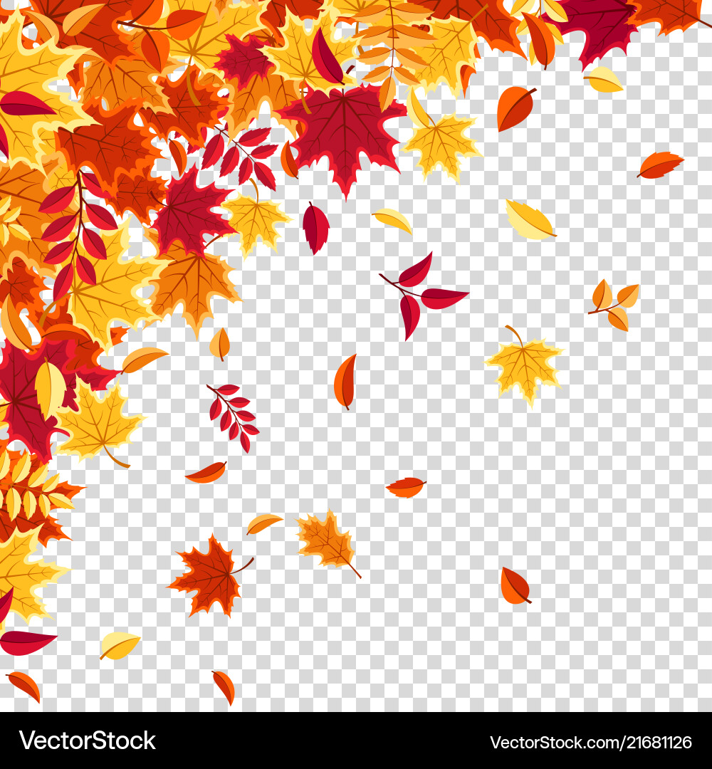 Autumn falling leaves nature background with red Vector Image