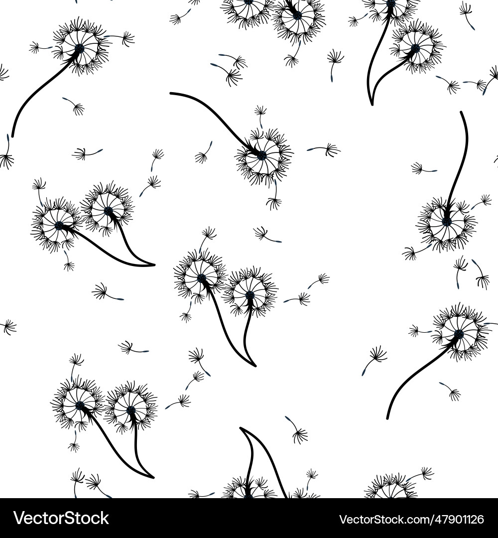 Dandelion background your design abstract floral Vector Image