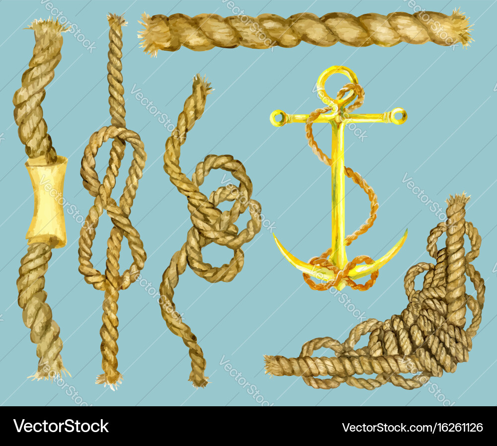 Marine set with ropes and anchor Royalty Free Vector Image