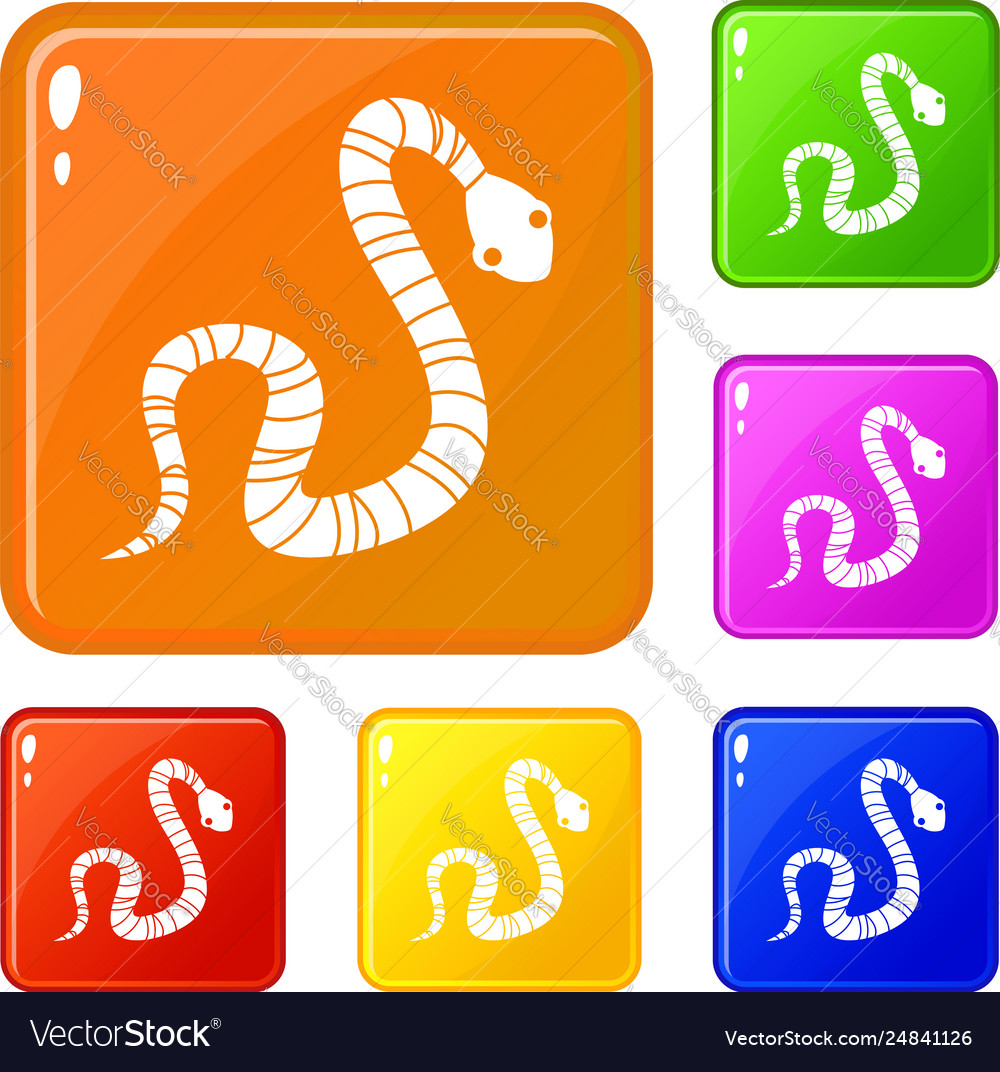 Striped snake icons set color Royalty Free Vector Image