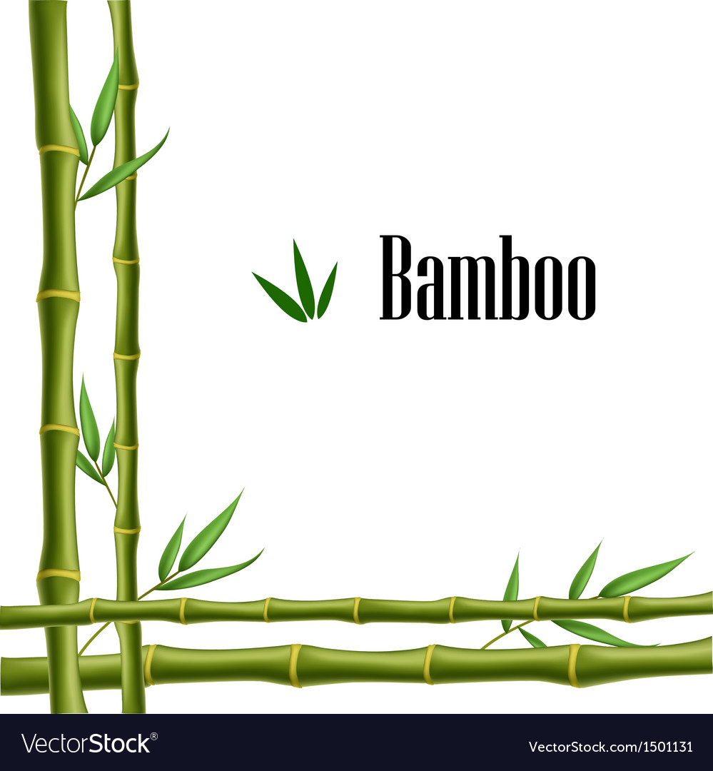 Bamboo frame Royalty Free Vector Image - VectorStock