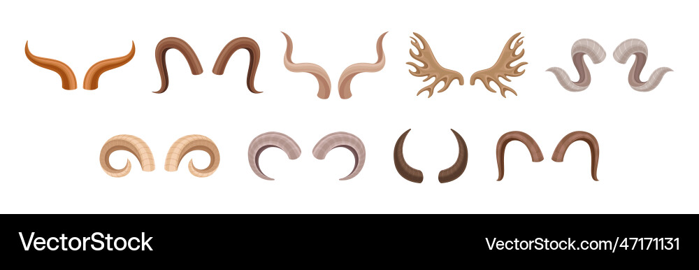 Different horns as pointed bony animal head part Vector Image