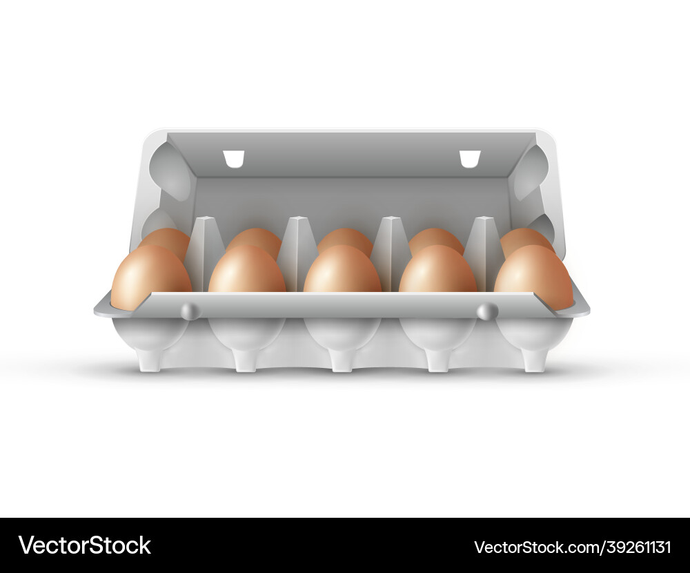 Open box of eggs filled with brown on white Vector Image