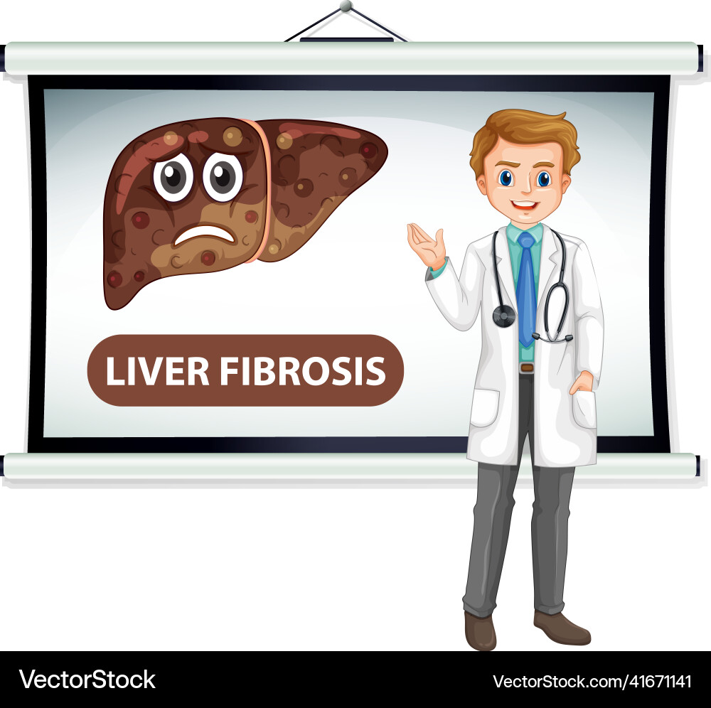 A doctor cartoon character explaining fibrosis Vector Image