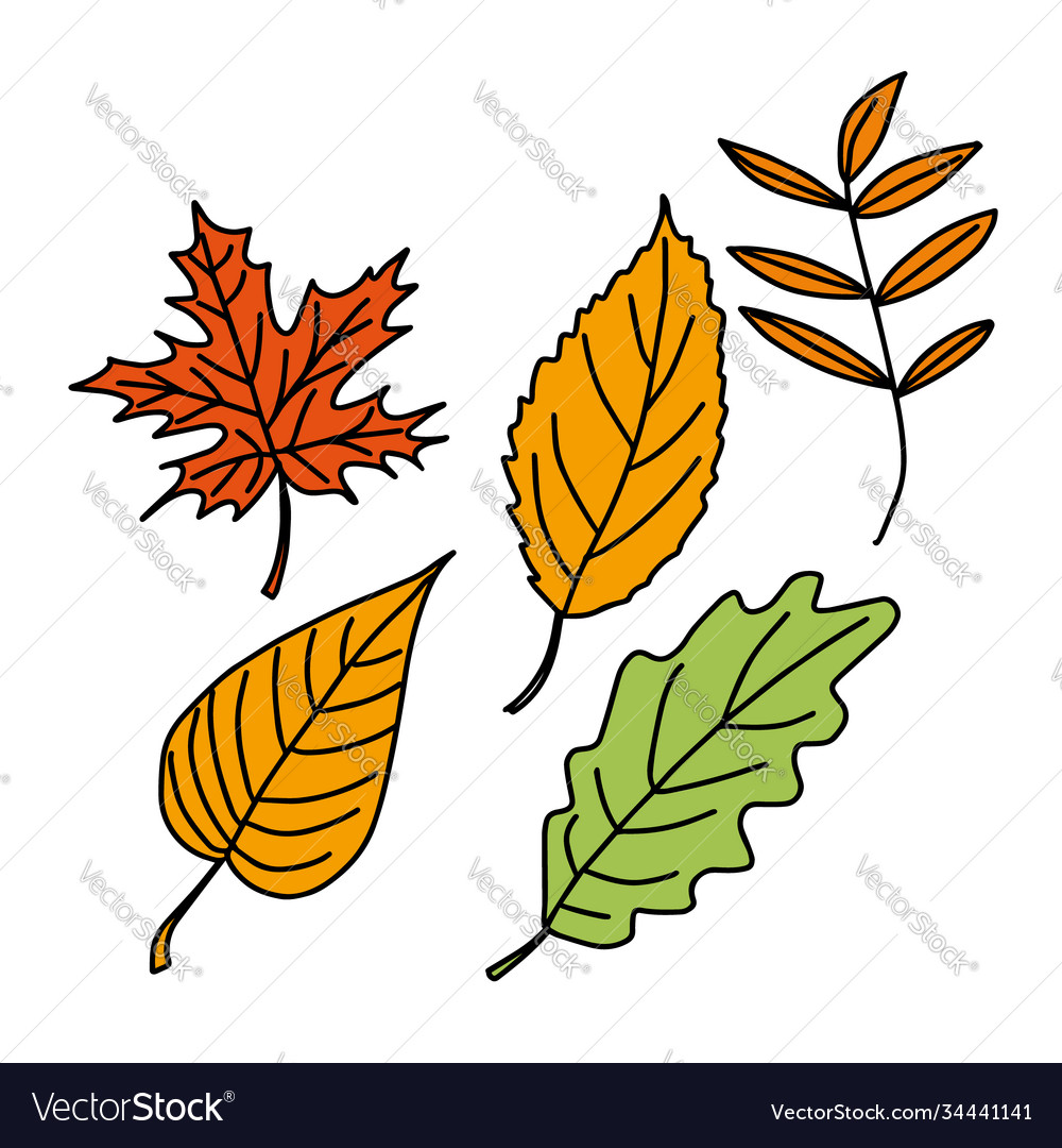 Doodle set autumn leaves design Royalty Free Vector Image