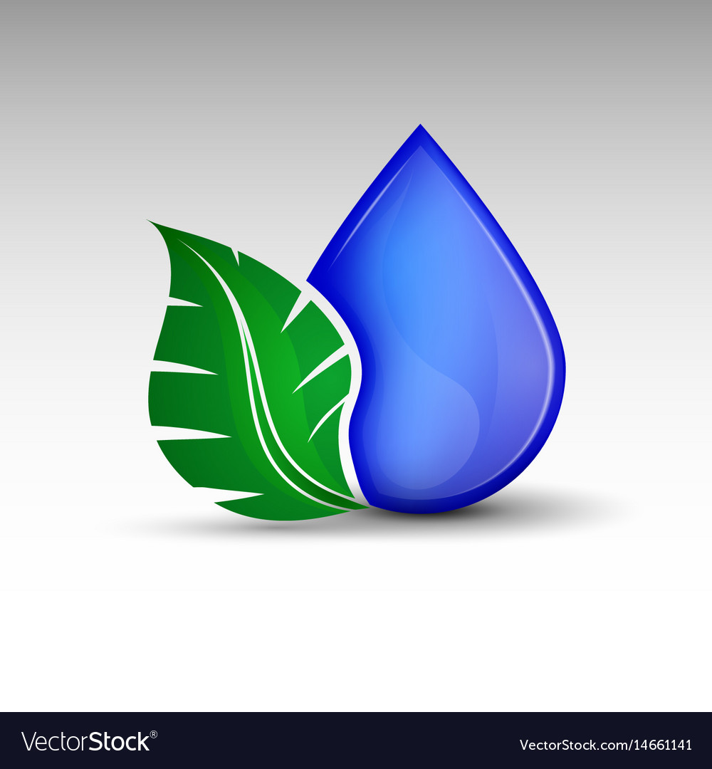 Drop with leaf Royalty Free Vector Image - VectorStock