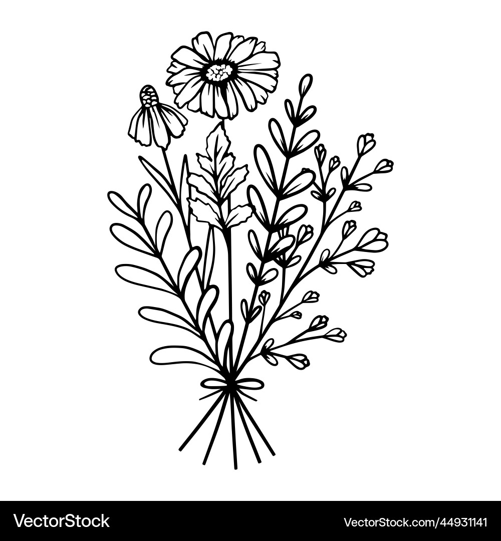 Simple drawing in black outline bouquet Royalty Free Vector