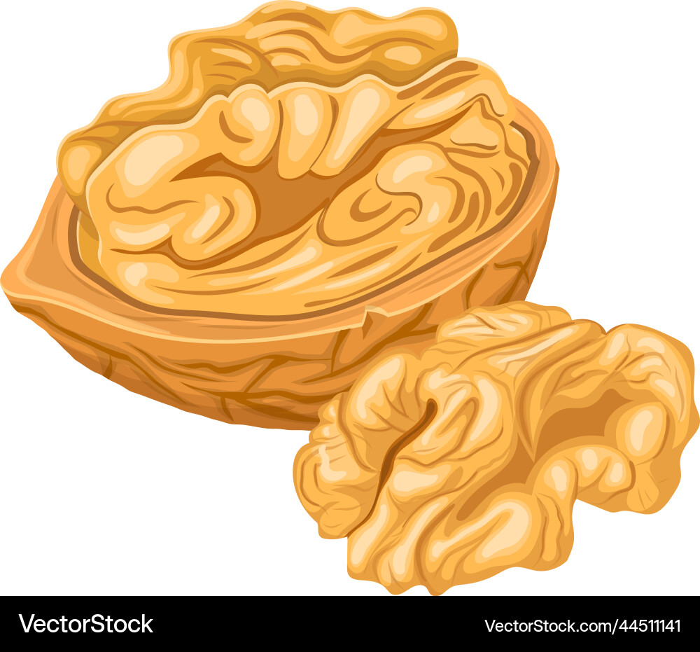 Walnut kernel cartoon Royalty Free Vector Image