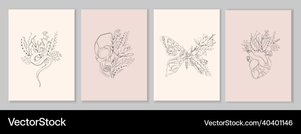 Half shape butterfly and skull heart snake Vector Image