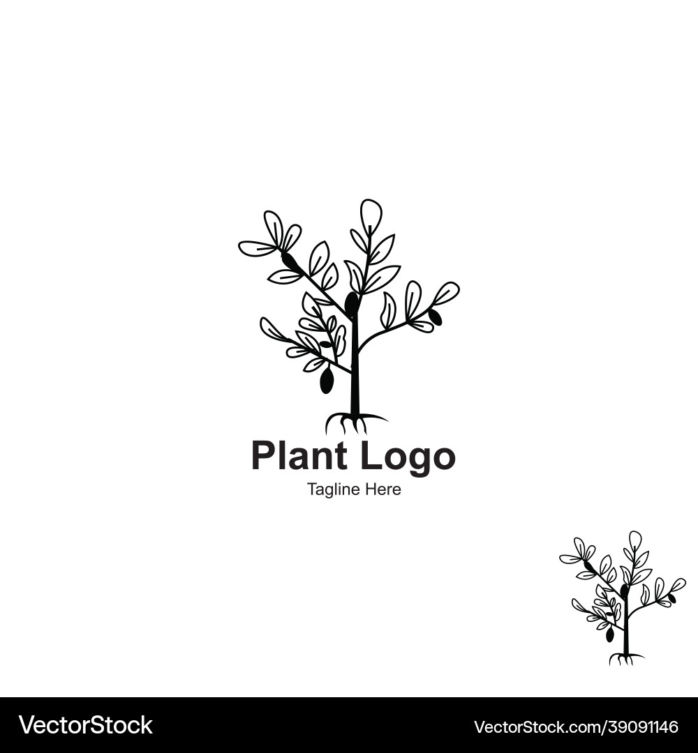 Plantplant logo design template-tree logo design Vector Image