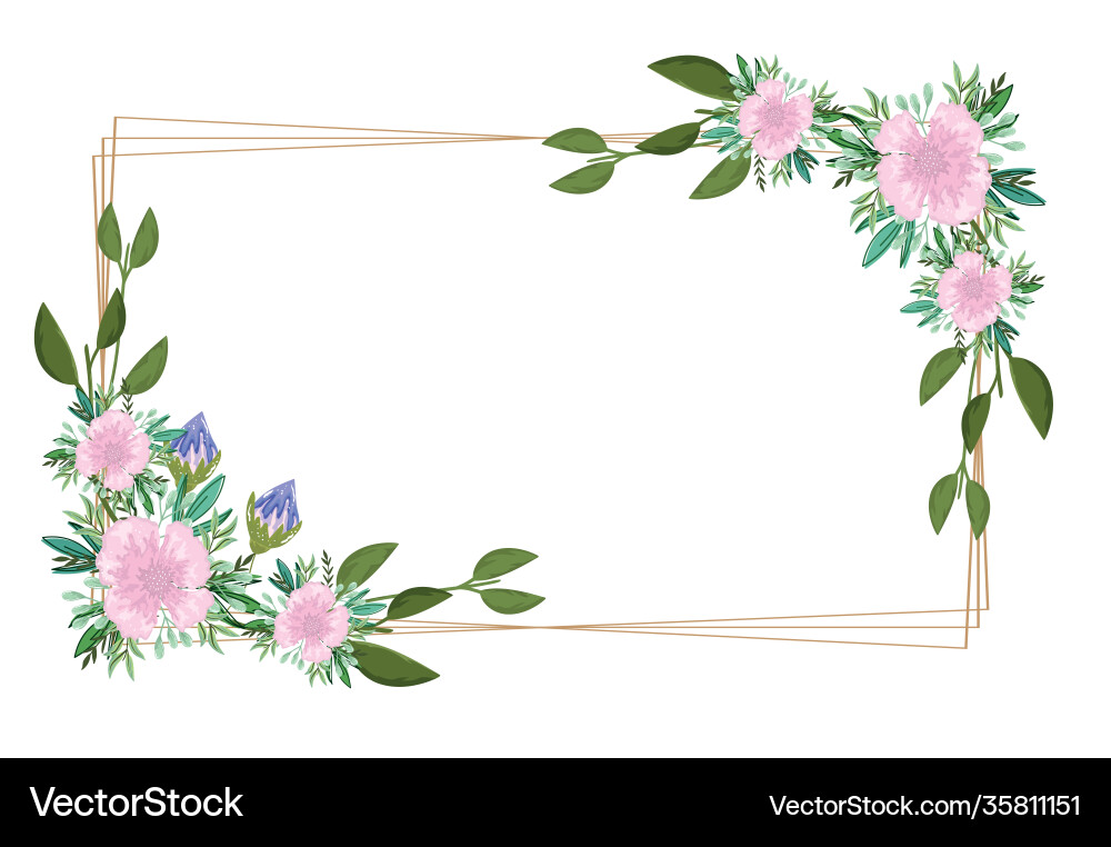 Flowers decoration nature frame layout painting Vector Image