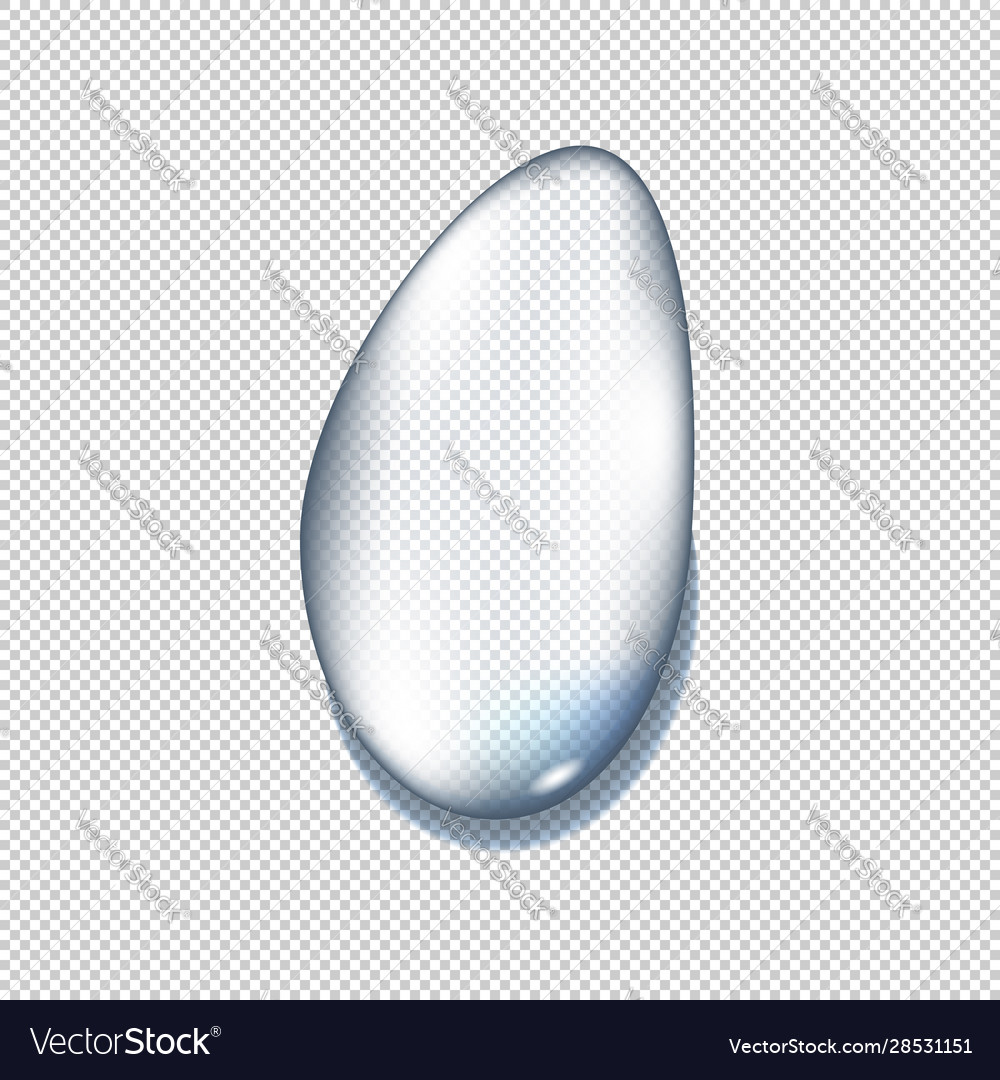 Realistic rain water drop transparent background Vector Image