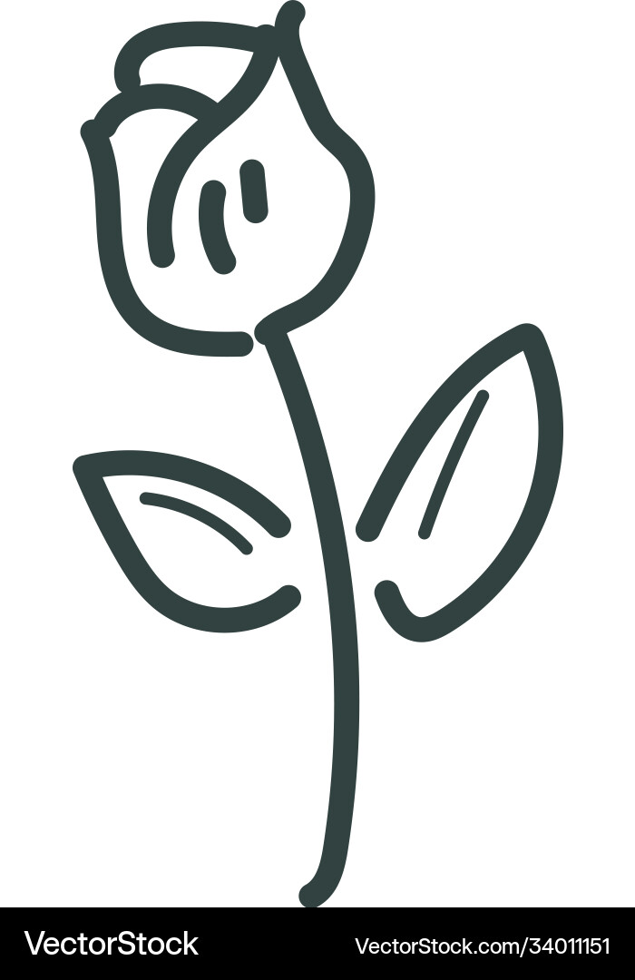 Rose flower line style icon design Royalty Free Vector Image