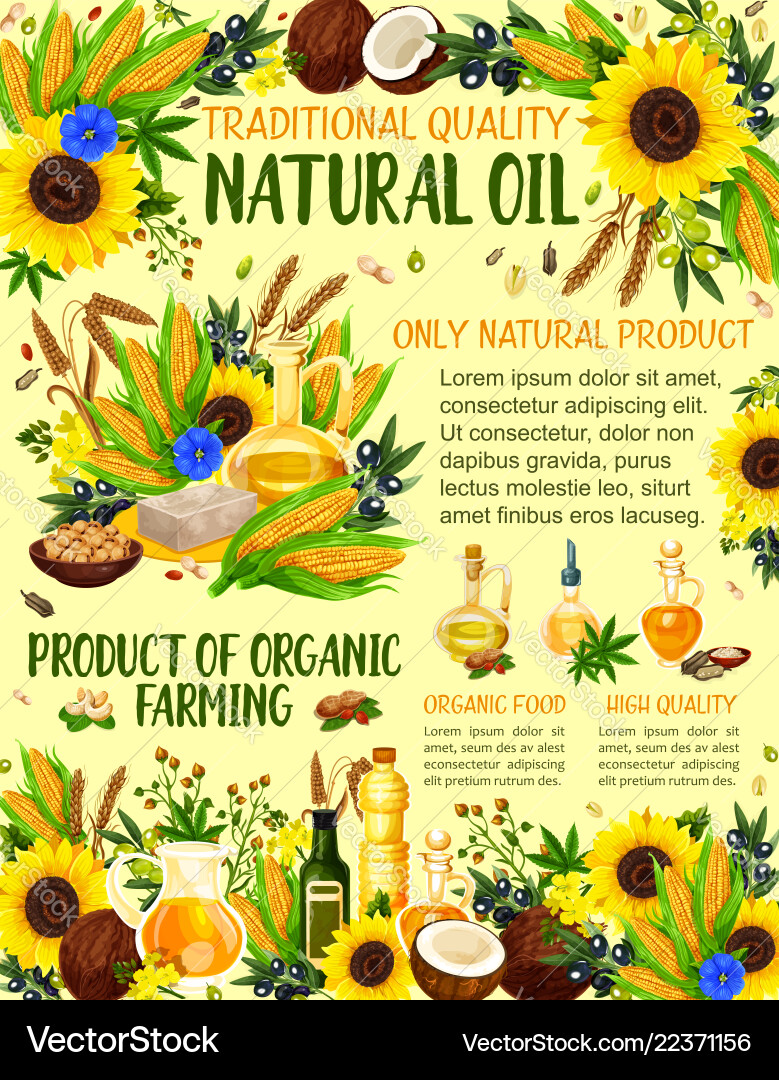 Organic farm vegetable oil Royalty Free Vector Image