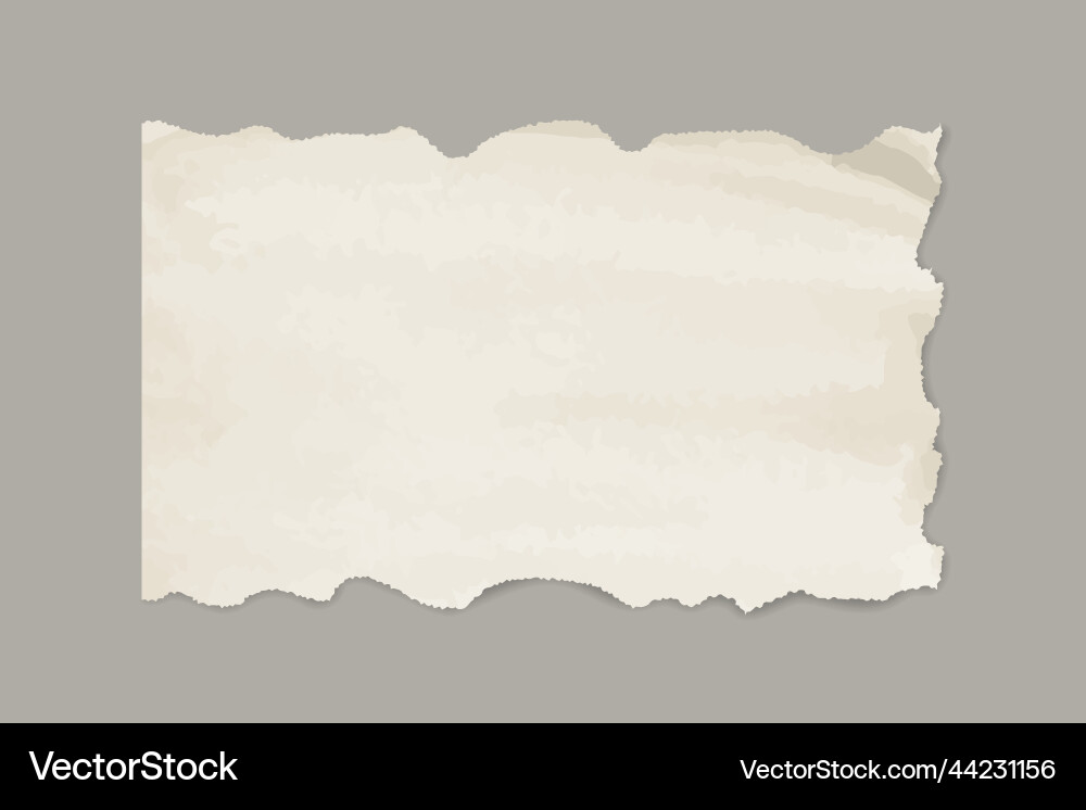 Torn paper real brown or ripped pieces Royalty Free Vector