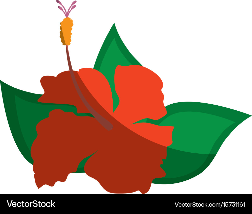 Beautiful flower gardening Royalty Free Vector Image