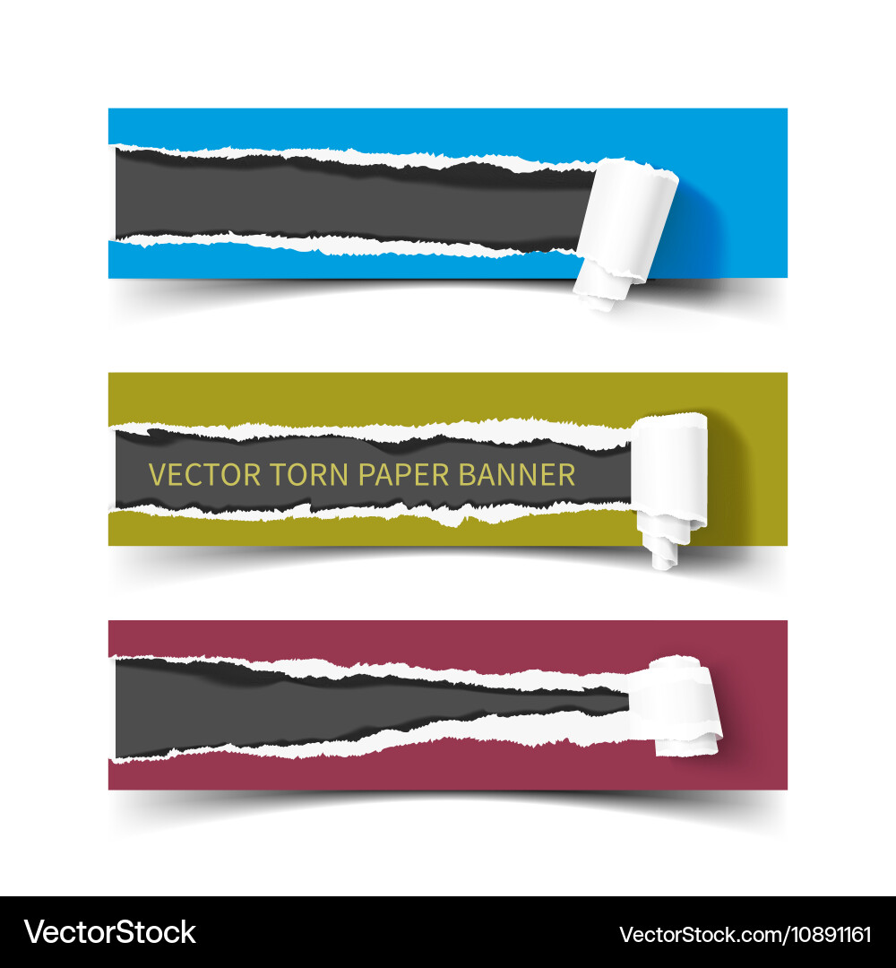 Set of three torn paper banners with rolls Vector Image