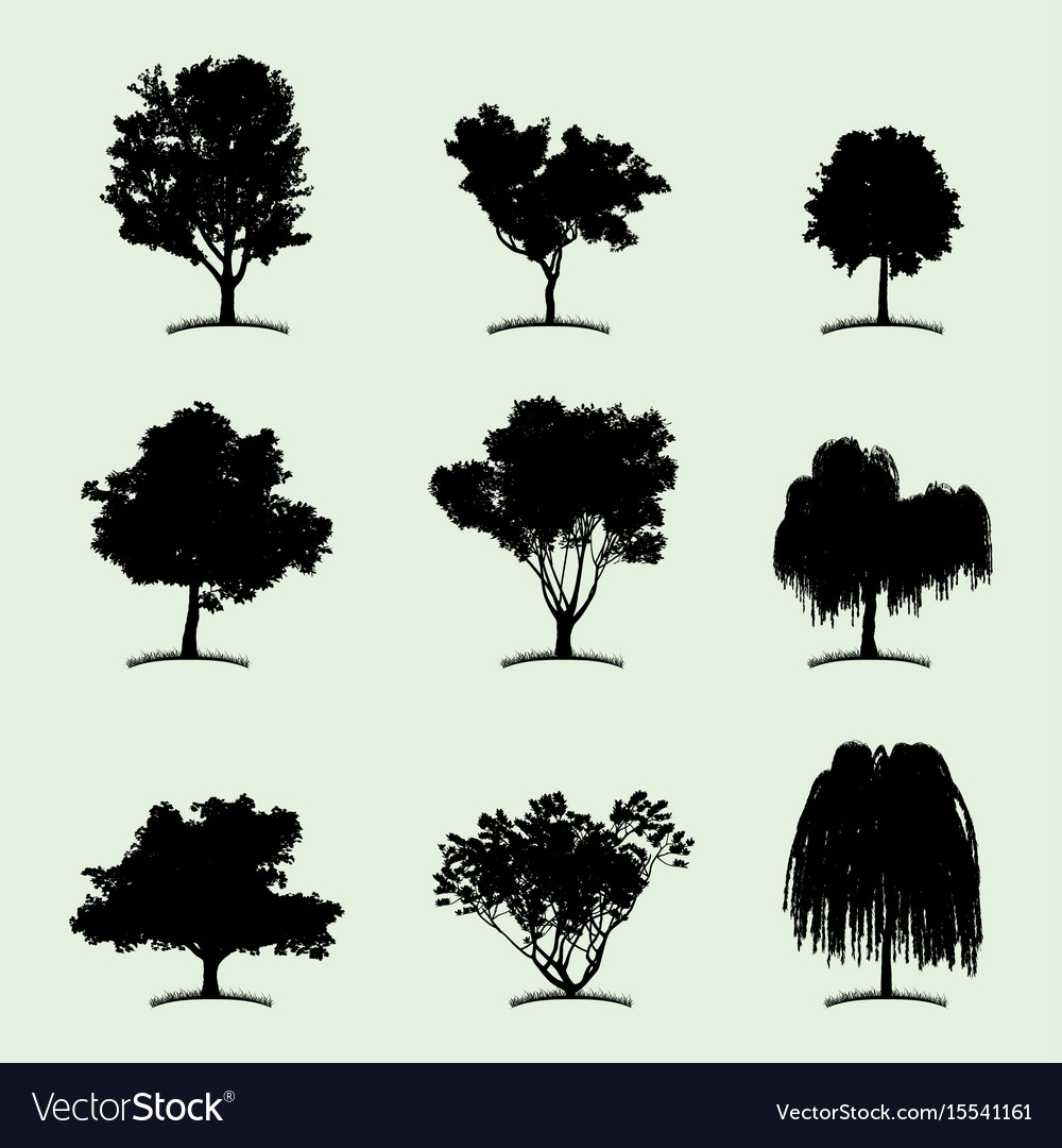 Tree collection flat icon Royalty Free Vector Image