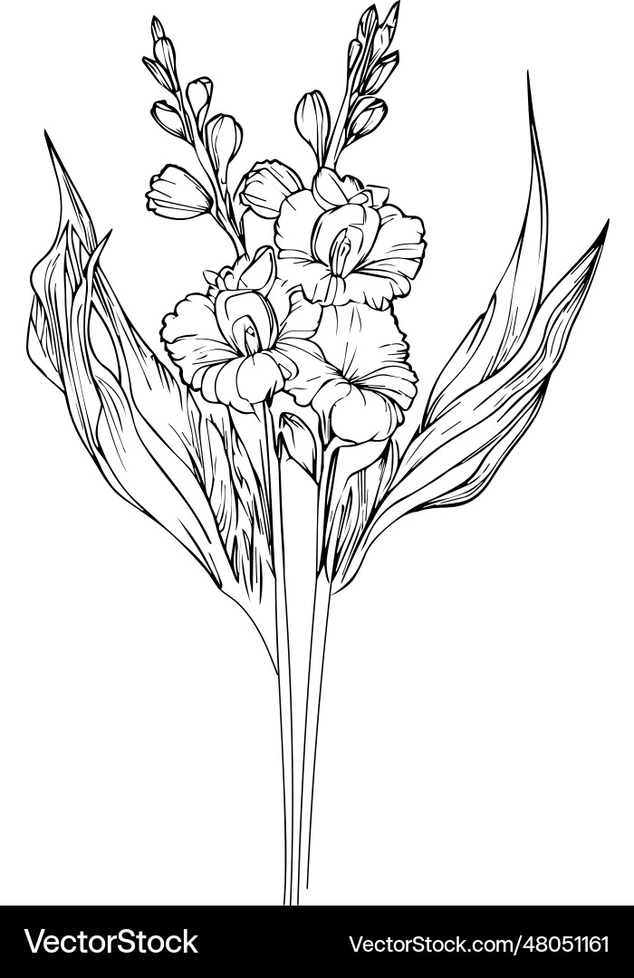 Wrist gladiolus tattoo simple line drawing templat